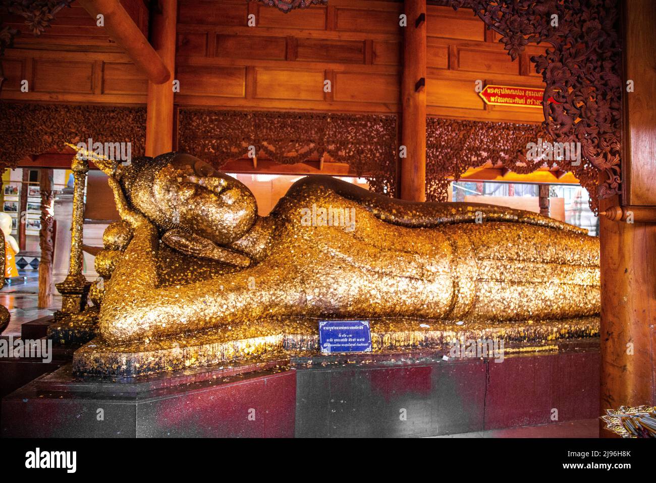 Buri leaves hi-res stock photography and images - Alamy