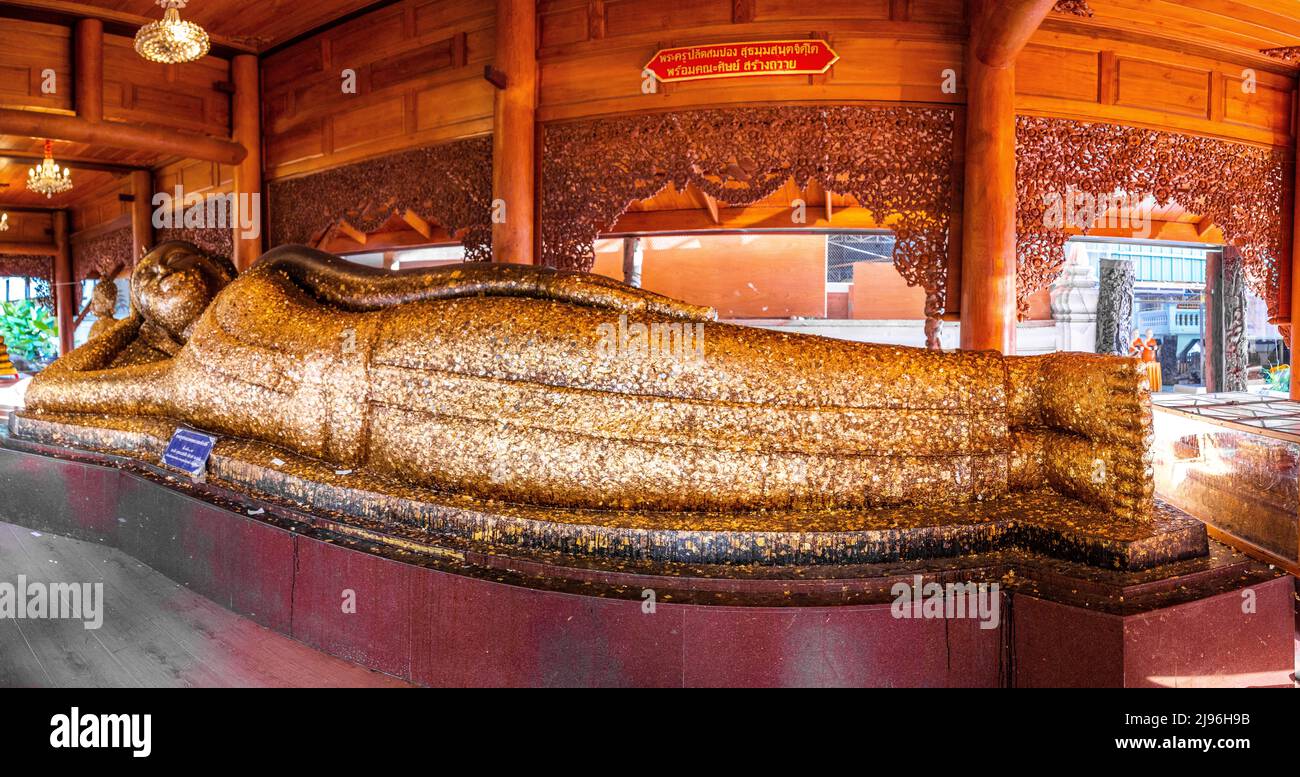 Buri leaves hi-res stock photography and images - Alamy