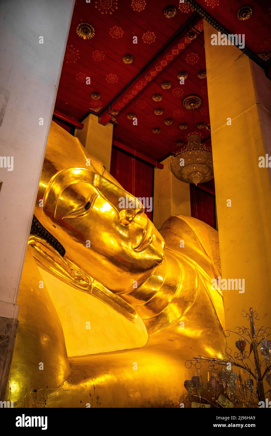 Buri leaves hi-res stock photography and images - Alamy