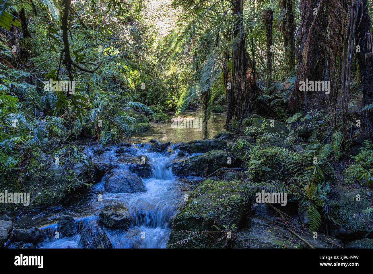 Stream along Shine Falls walk Stock Photo - Alamy