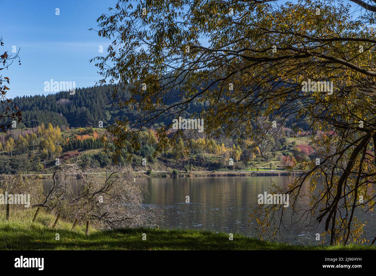 Tutira hi-res stock photography and images - Alamy