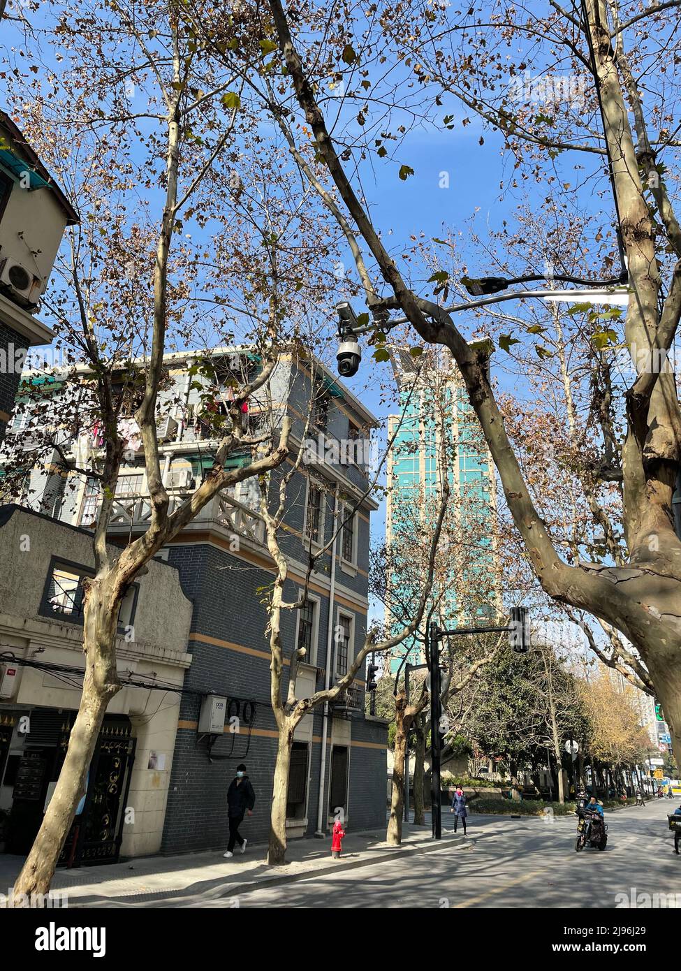 Afternoon walking tour of Shanghai's neighborhoods Stock Photo - Alamy