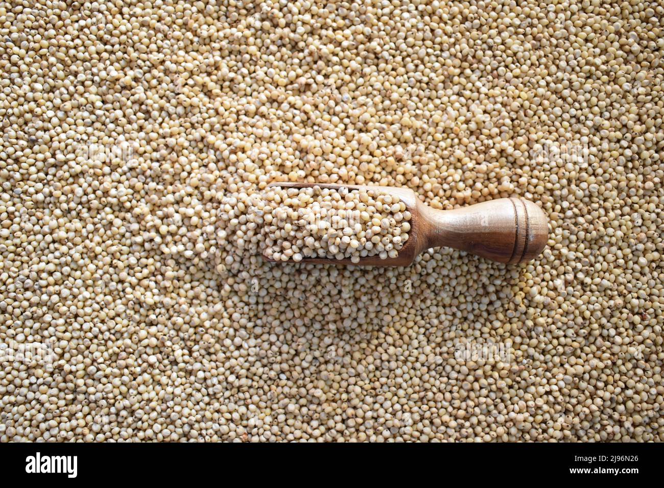 Grains of sorghum bicolor hi-res stock photography and images - Alamy