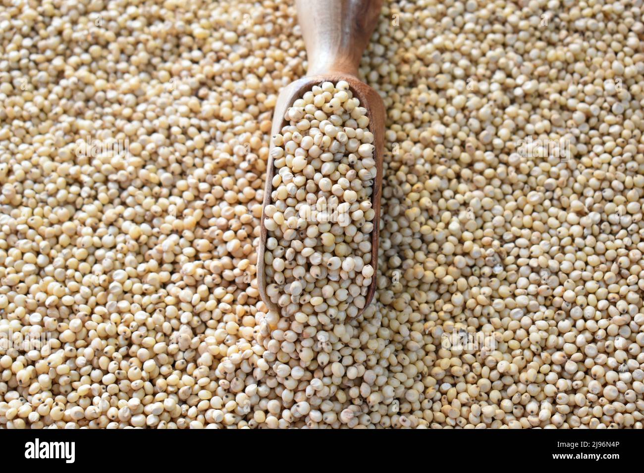 Dried sorghum hi-res stock photography and images - Alamy