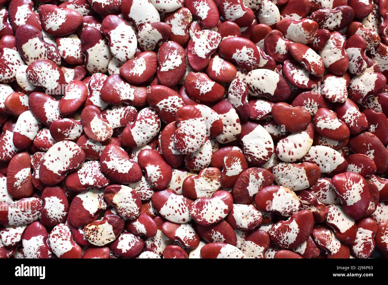 Red and white color raw whole dried speckled Lima beans Stock Photo - Alamy