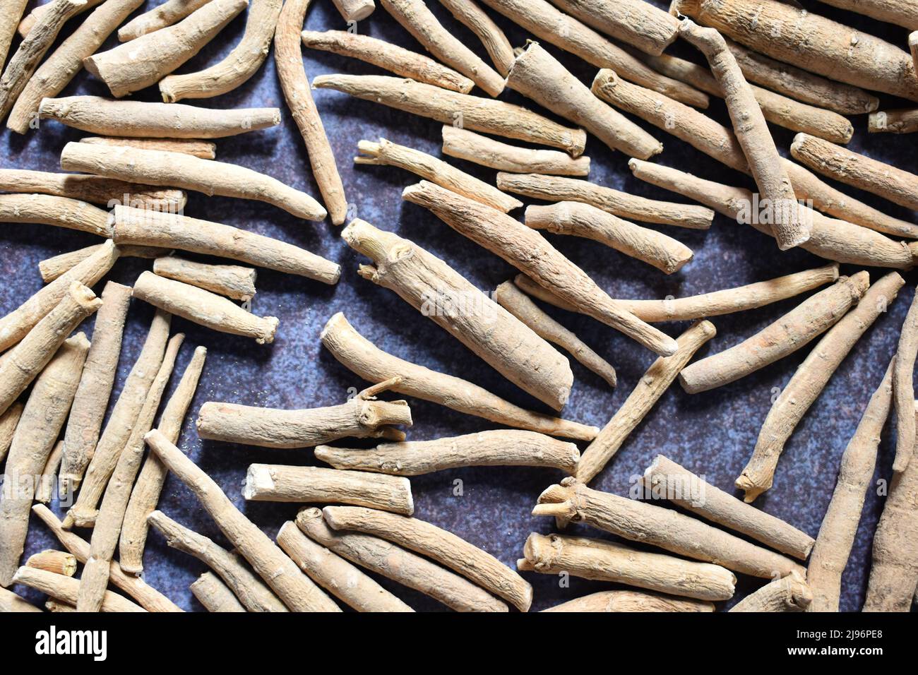 Raw whole dried Indian ginseng root Stock Photo - Alamy