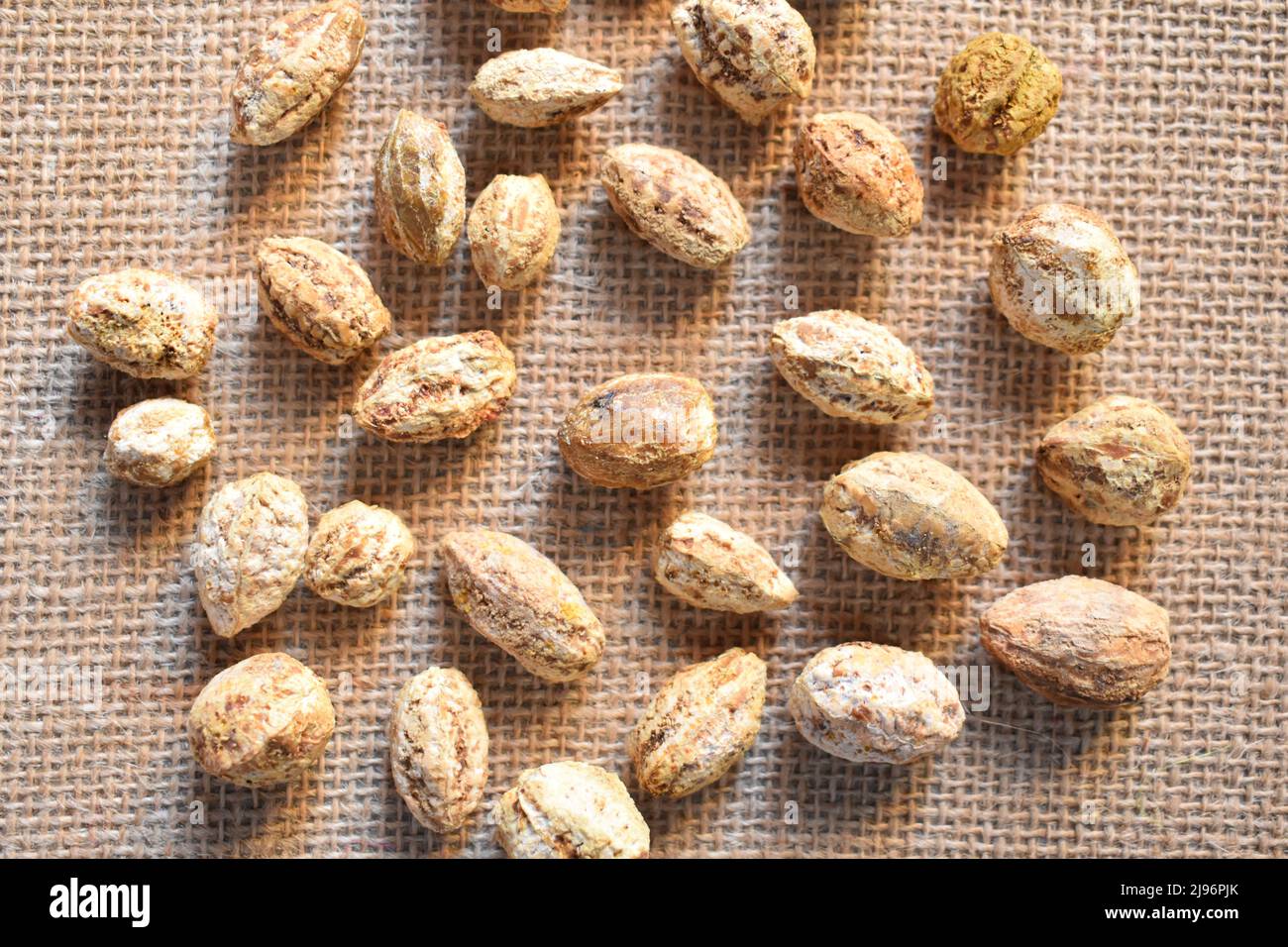 Raw whole dry seed of Terminalia chebula fruit Stock Photo - Alamy