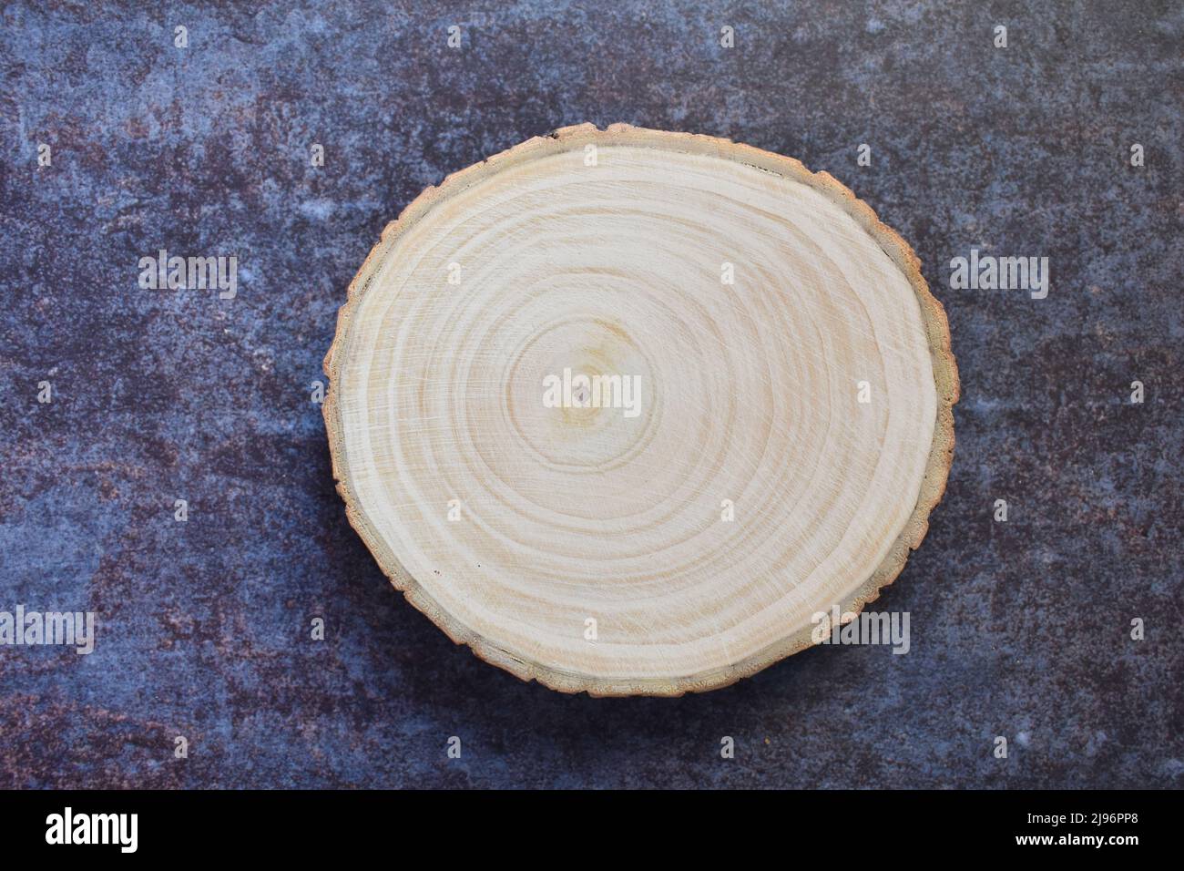 Pine wood round cut stump isolated Stock Photo - Alamy