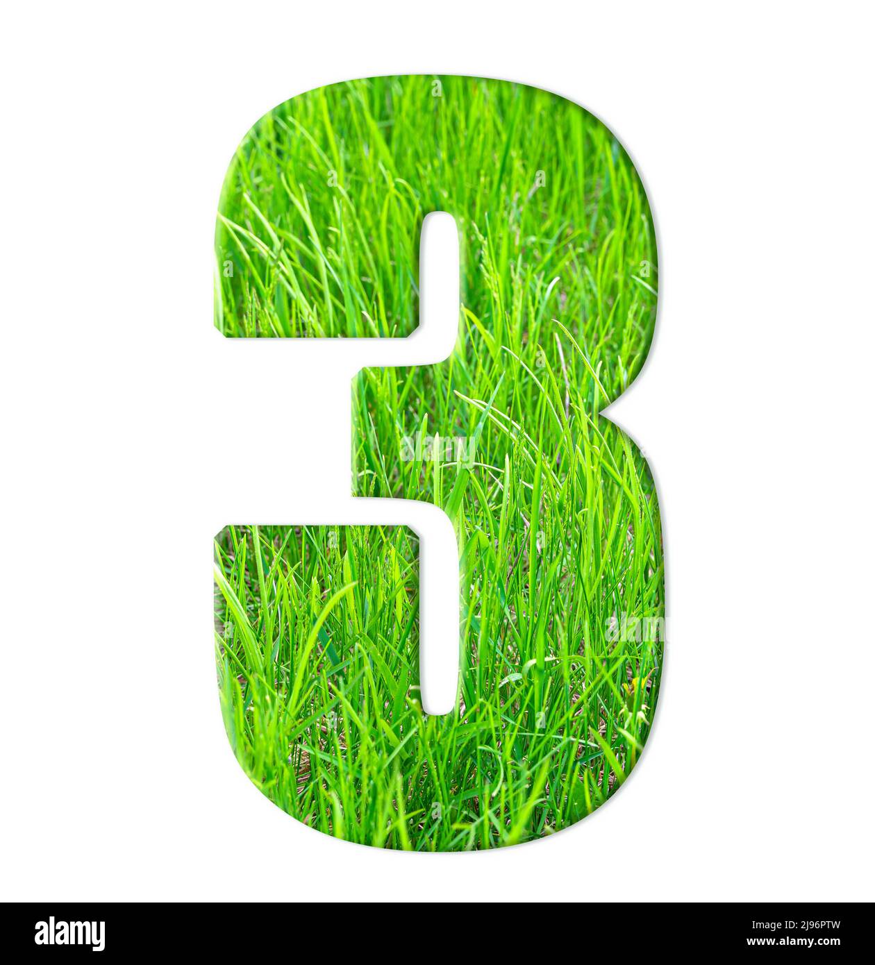 Three with the texture of green juicy grass isolated on a white ...