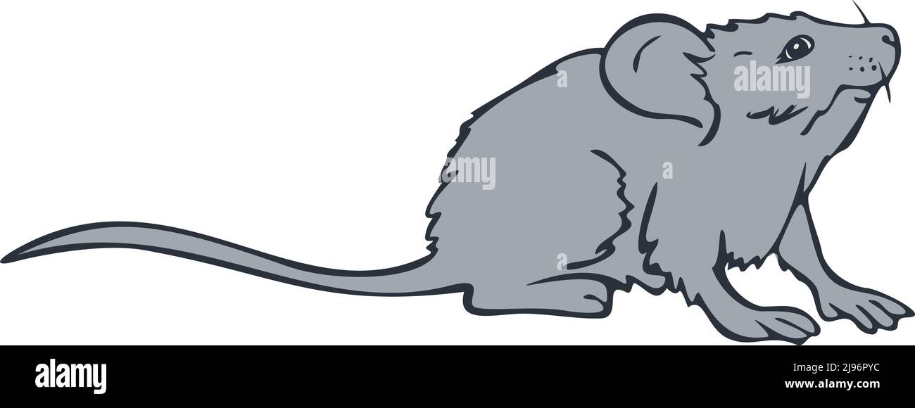 Vector illustration of hand drawn mouse. Mouse colored and depicted by ...