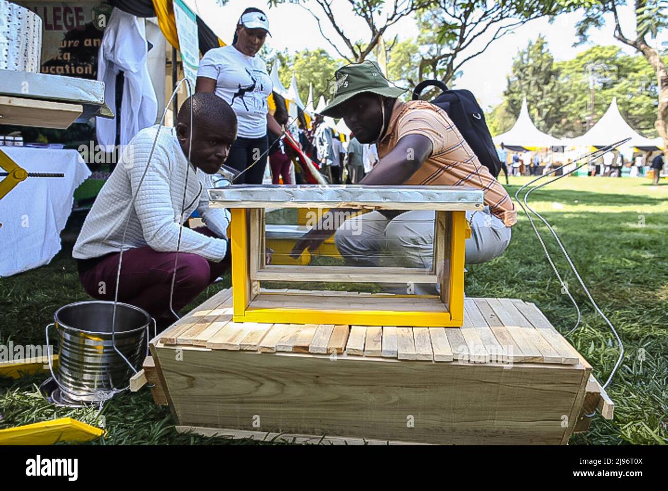 A Kenyan man (L) shows a bee Observation hive that is used to check the ...