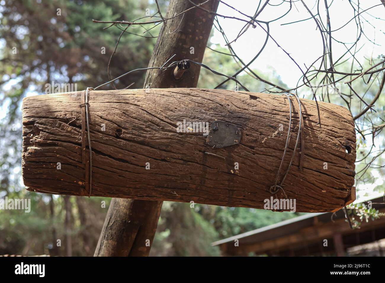 Log hive hi-res stock photography and images - Alamy