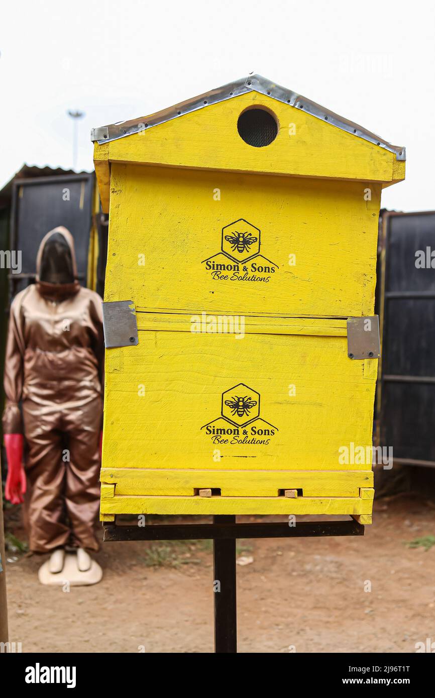 Large scale beekeeping hi-res stock photography and images - Alamy