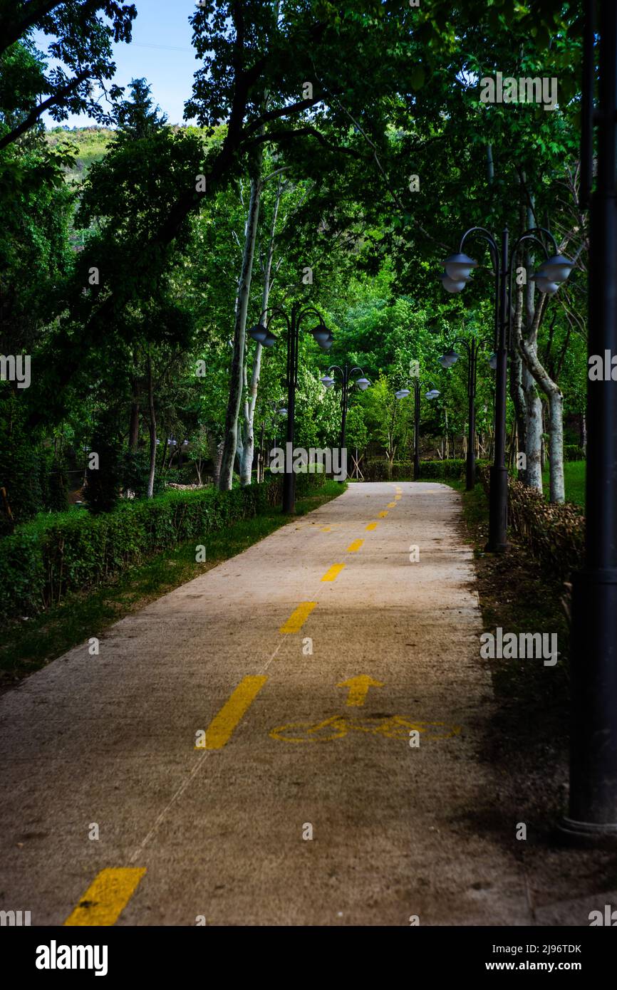 Bike path in the park in summer time Stock Photo - Alamy