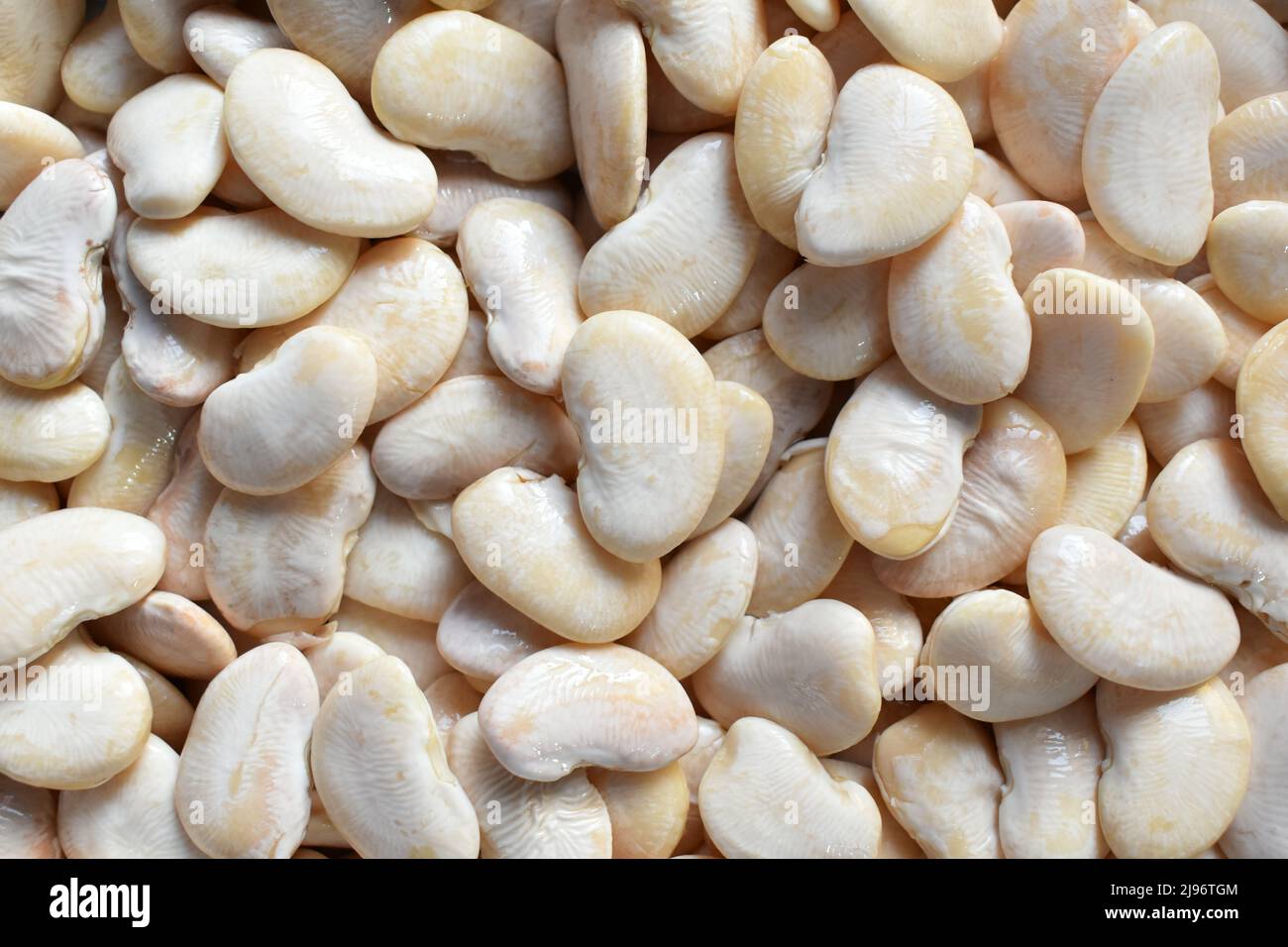 Soaked white color raw whole Butter bean Stock Photo - Alamy