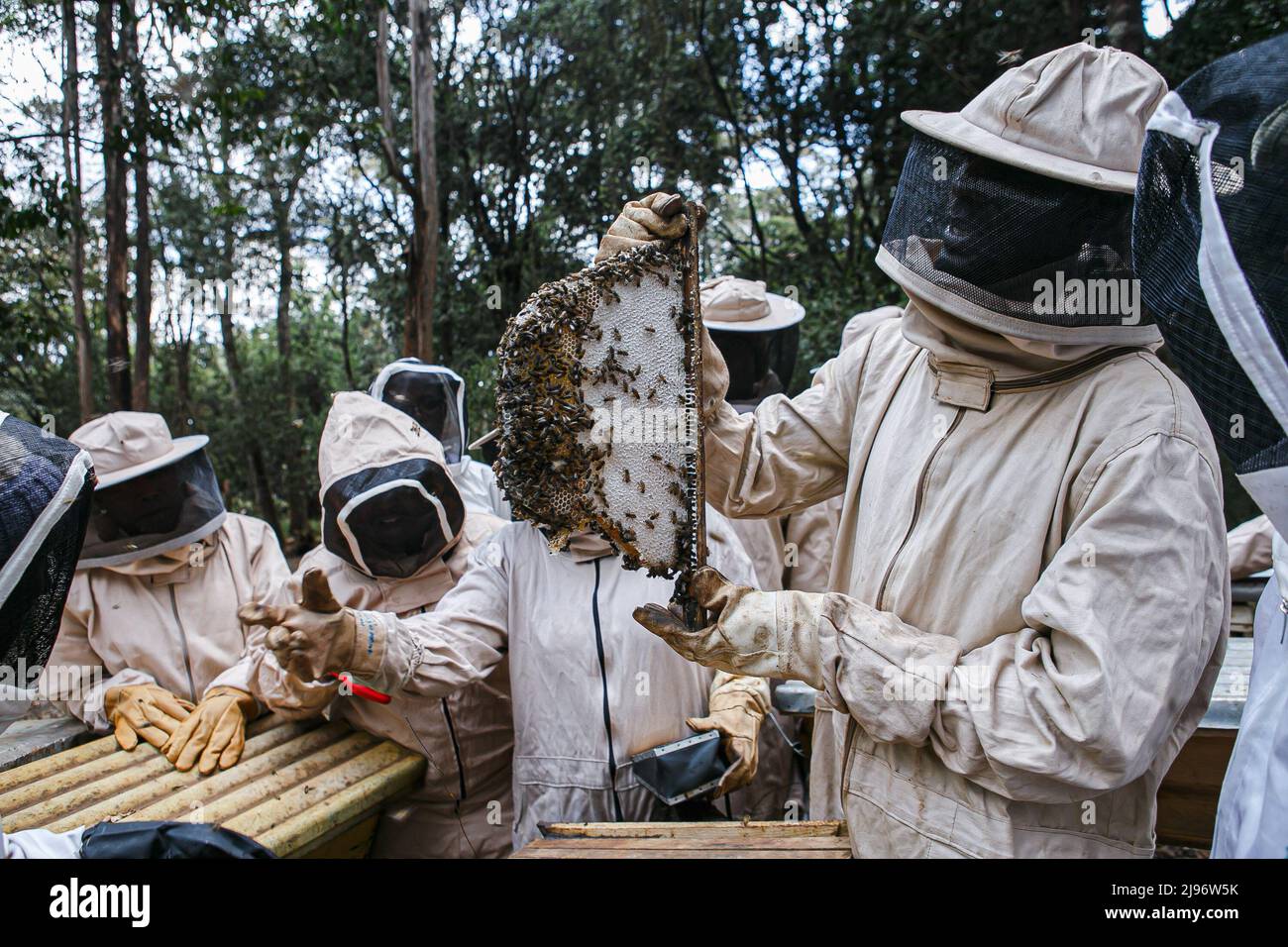 An instructor at the National beekeeping institute shows trainees how ...