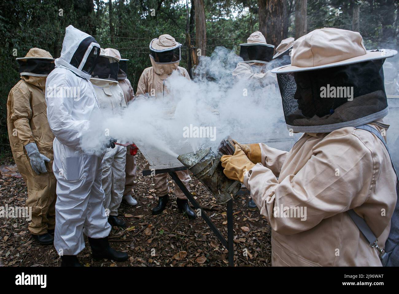 Trainees at the National beekeeping institute learn how to pump smoke ...