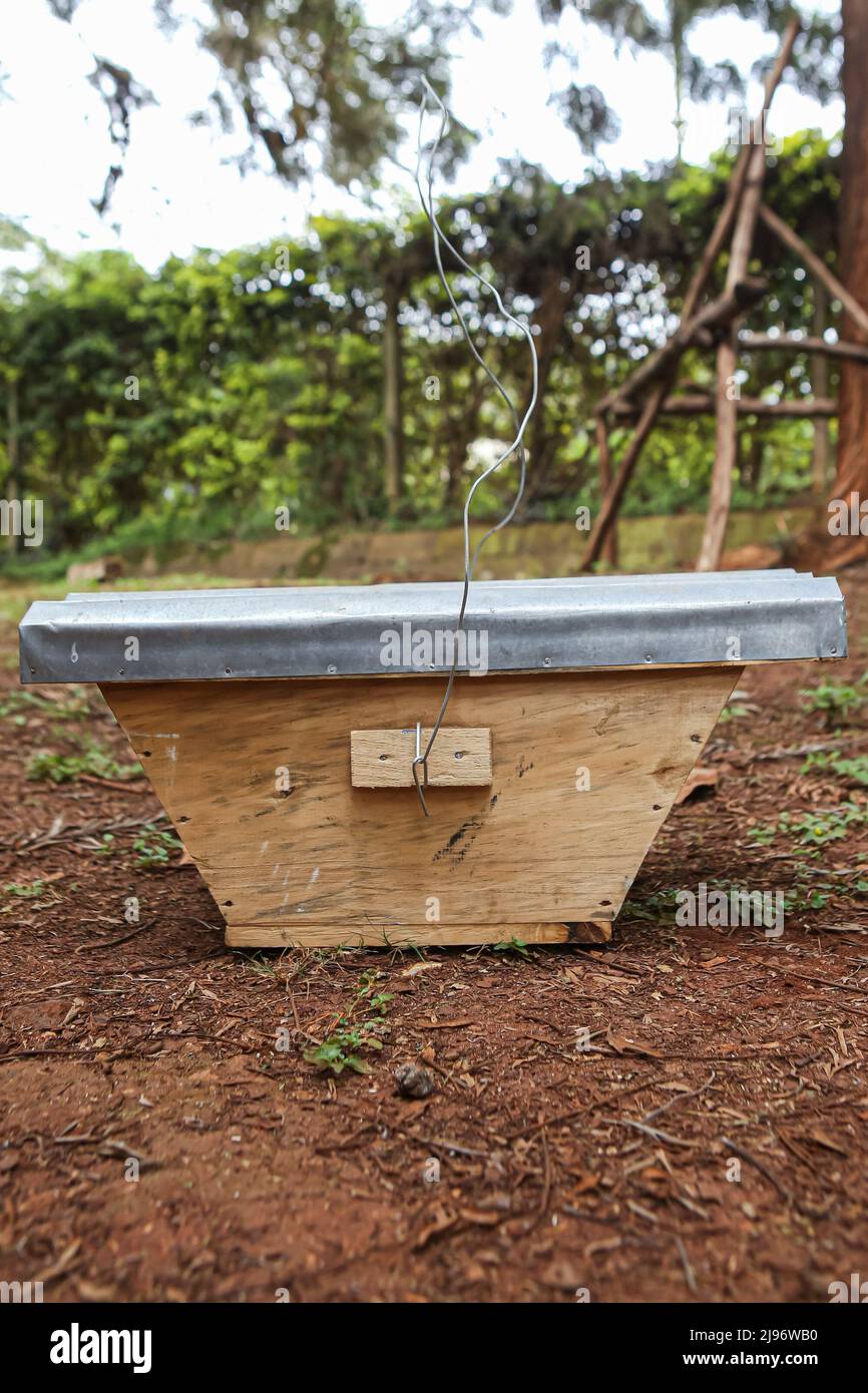 Bees catcher hi-res stock photography and images - Alamy