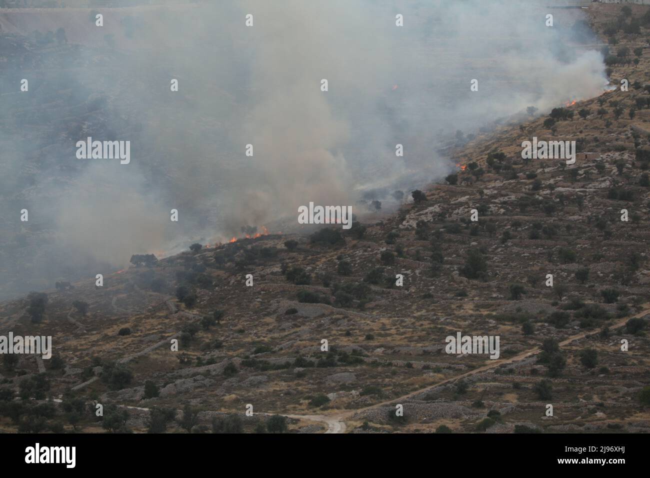 Forest fire and smoke in Jerusalem Stock Photo - Alamy