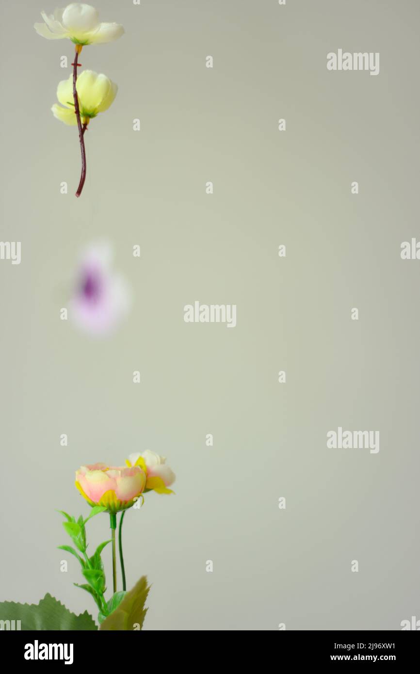 Beautiful flowers. Summer bloom concept. Creative spring nature Stock ...