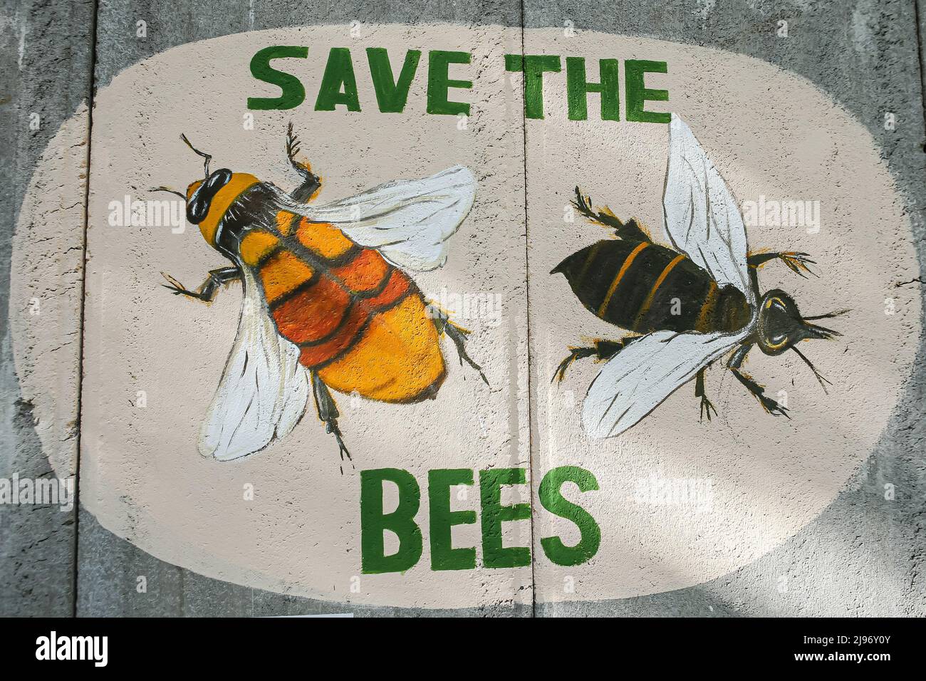 Bee mural hi-res stock photography and images - Alamy