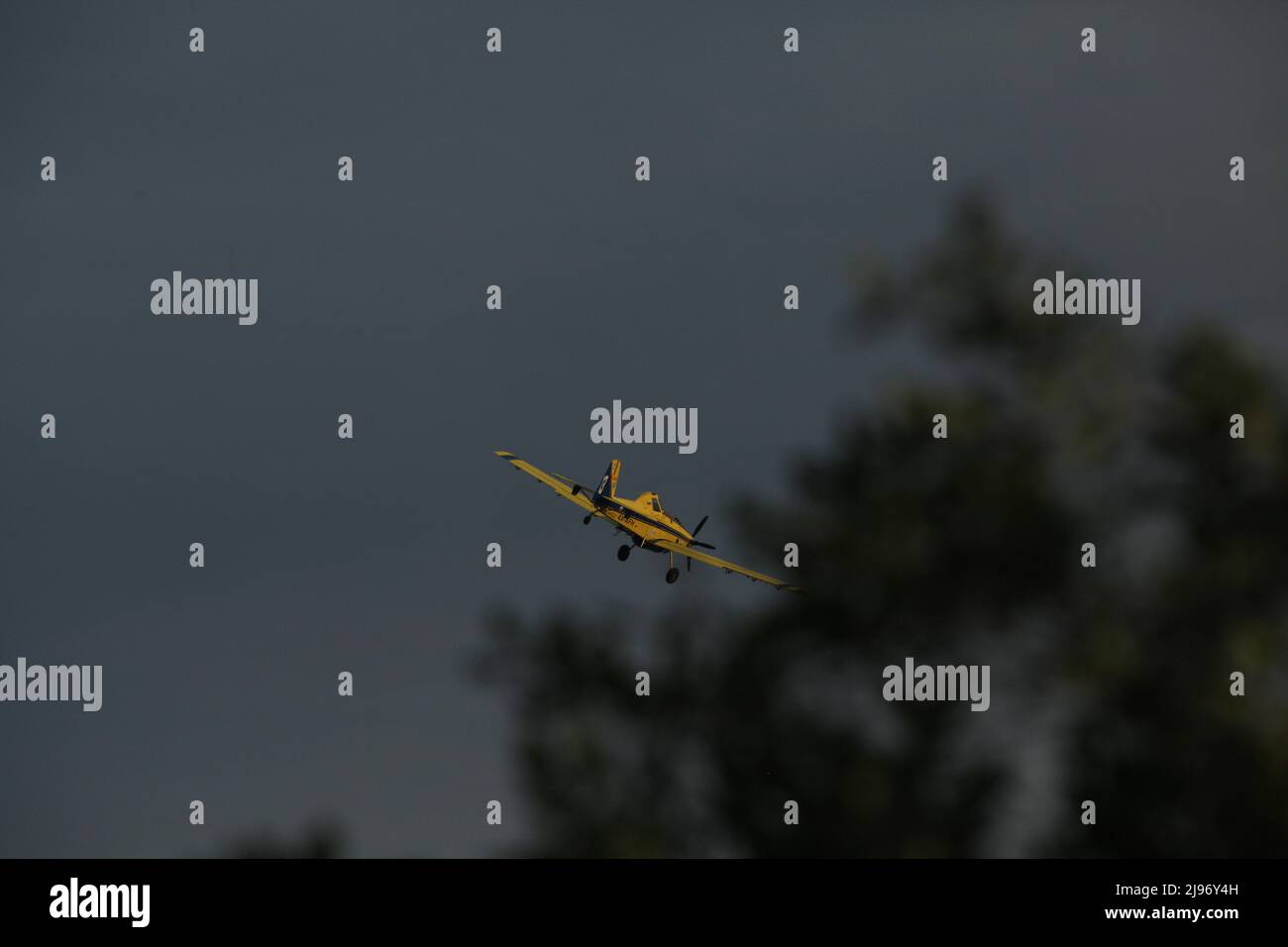 Fire fighting aircraft hi-res stock photography and images - Alamy