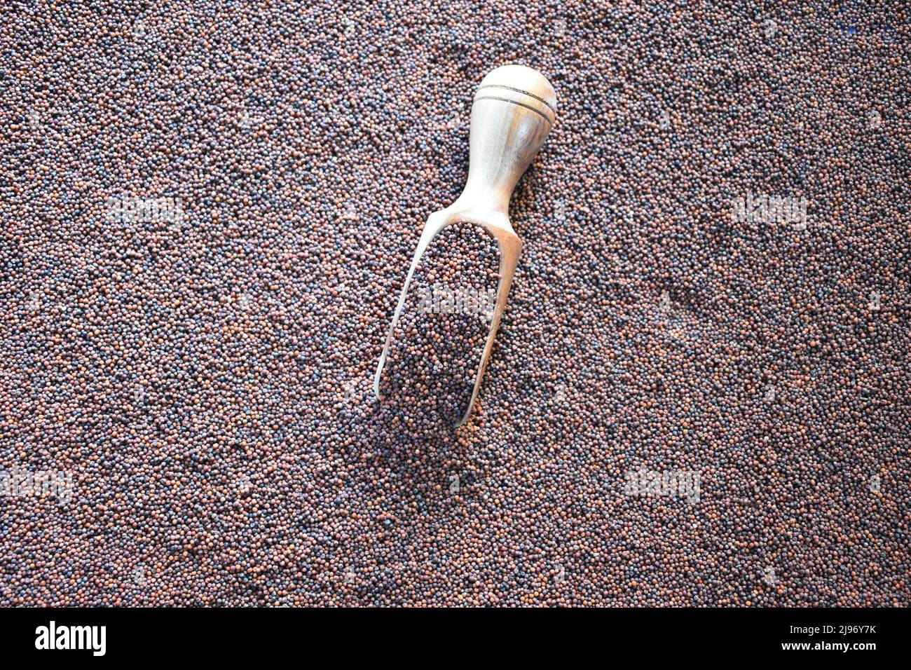 Raw whole dried Finger millet Stock Photo - Alamy