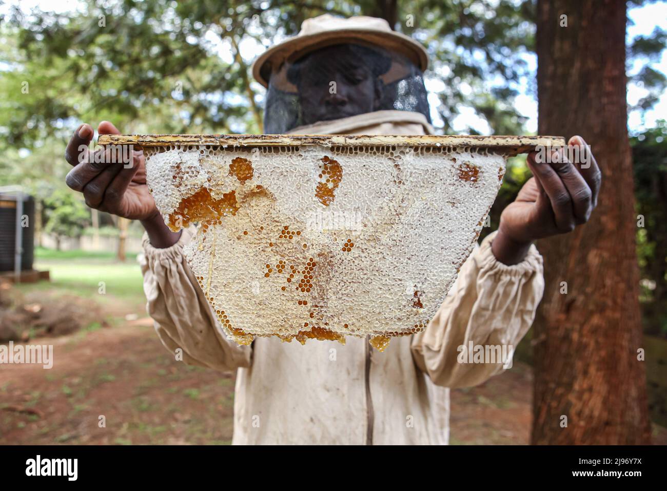 May 18, 2022, Nairobi, Kenya: An instructor at the National beekeeping ...