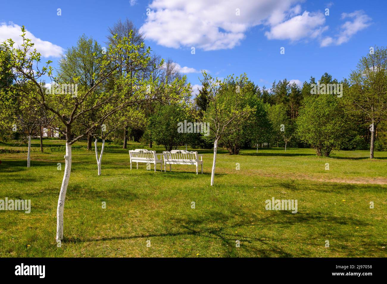 Orchard in early spring, garden and green grass Stock Photo - Alamy