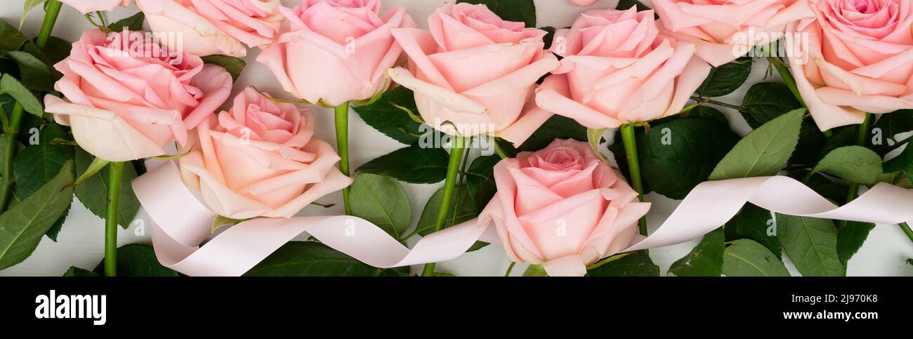 fresh rose flowers Stock Photo - Alamy