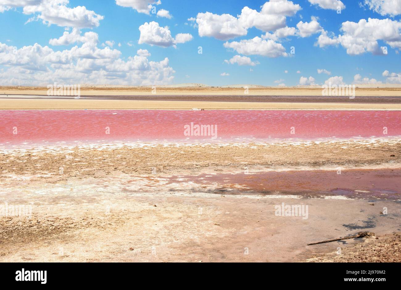 Oman pink lake hi-res stock photography and images - Alamy