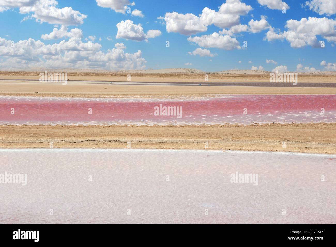 Oman pink lake hi-res stock photography and images - Alamy