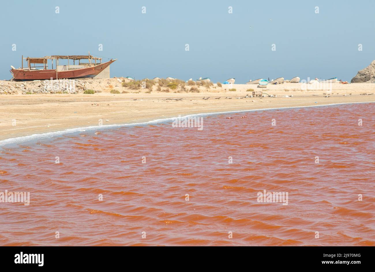Oman pink lake hi-res stock photography and images - Alamy