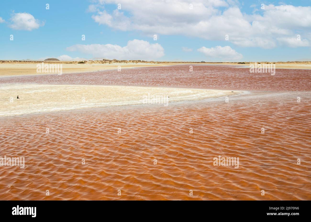 Oman pink lake hi-res stock photography and images - Alamy