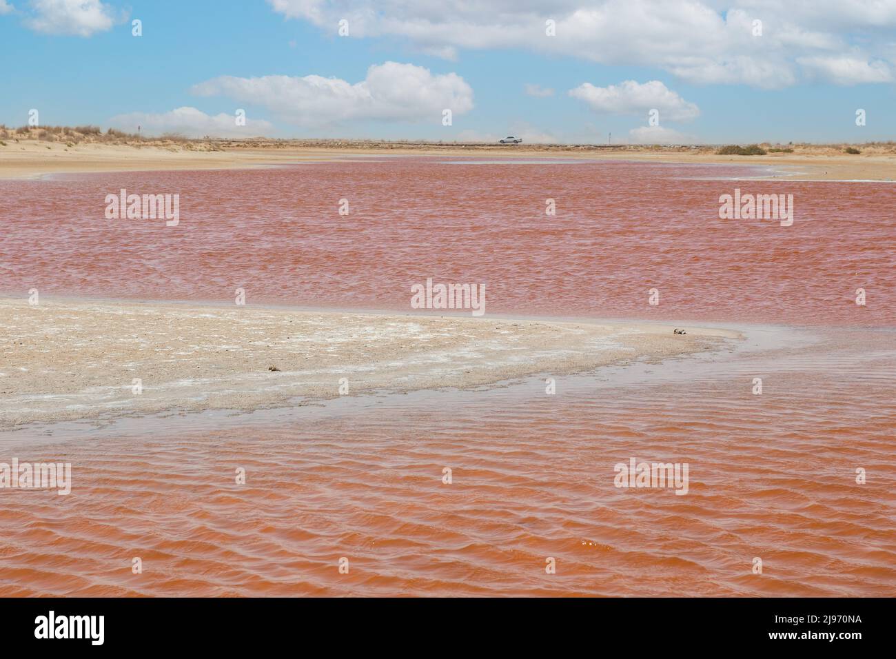 Oman pink lake hi-res stock photography and images - Alamy