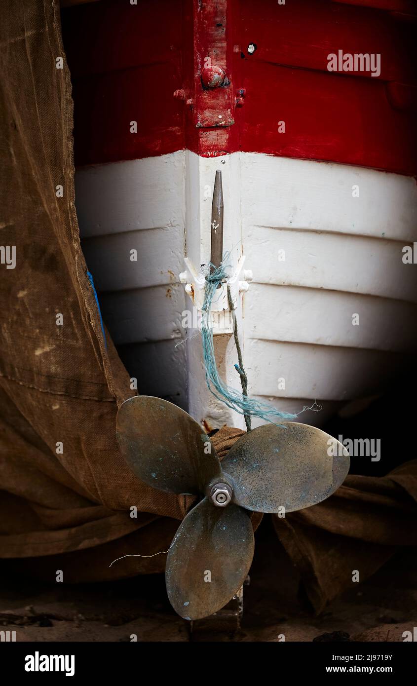 Birds boats hi-res stock photography and images - Alamy