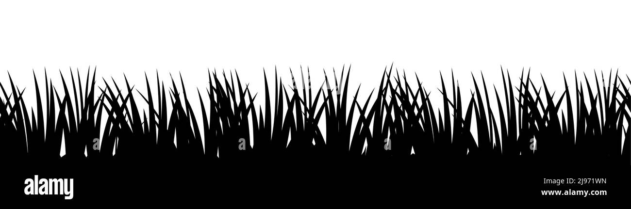 Grass. Nature rural landscape. The pasture is overgrown. Overgrown ...