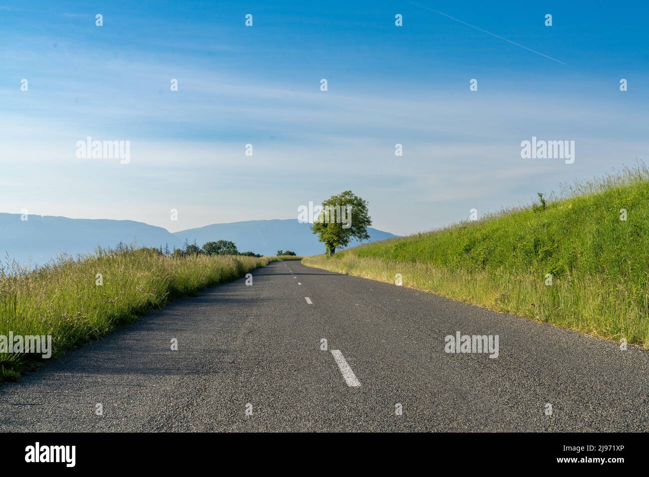 An empty blacktop highway in the countryside leading through green ...