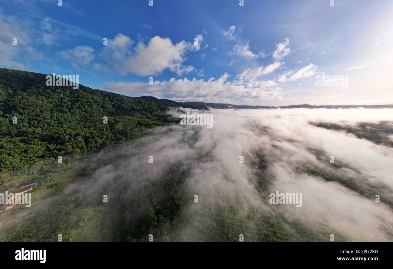 Aerial view Panorama of flowing fog waves on mountain tropical ...