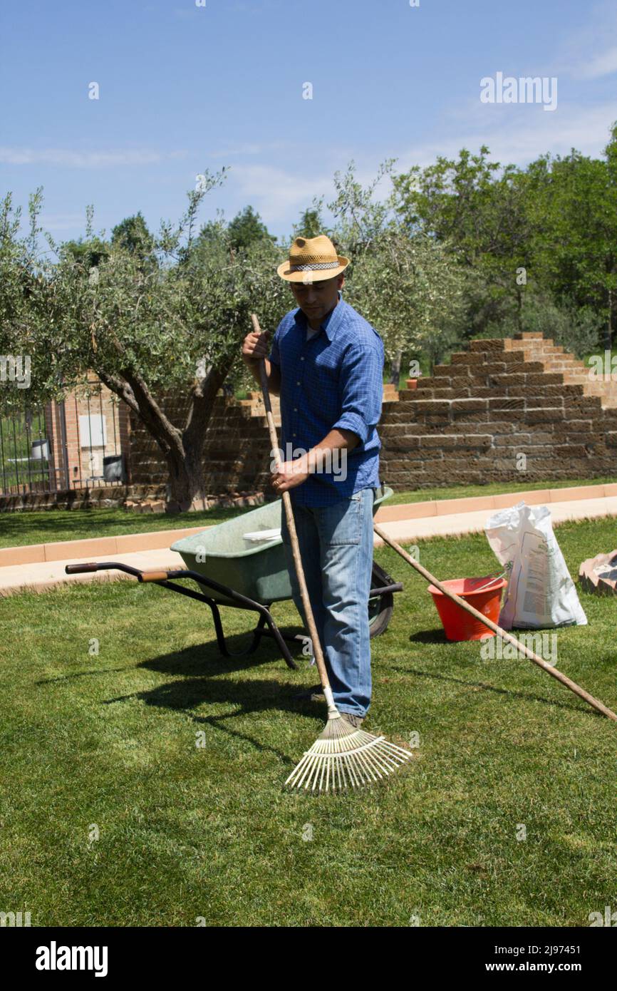 Image of a gardener picking dead and dry grass from his lawn with a ...