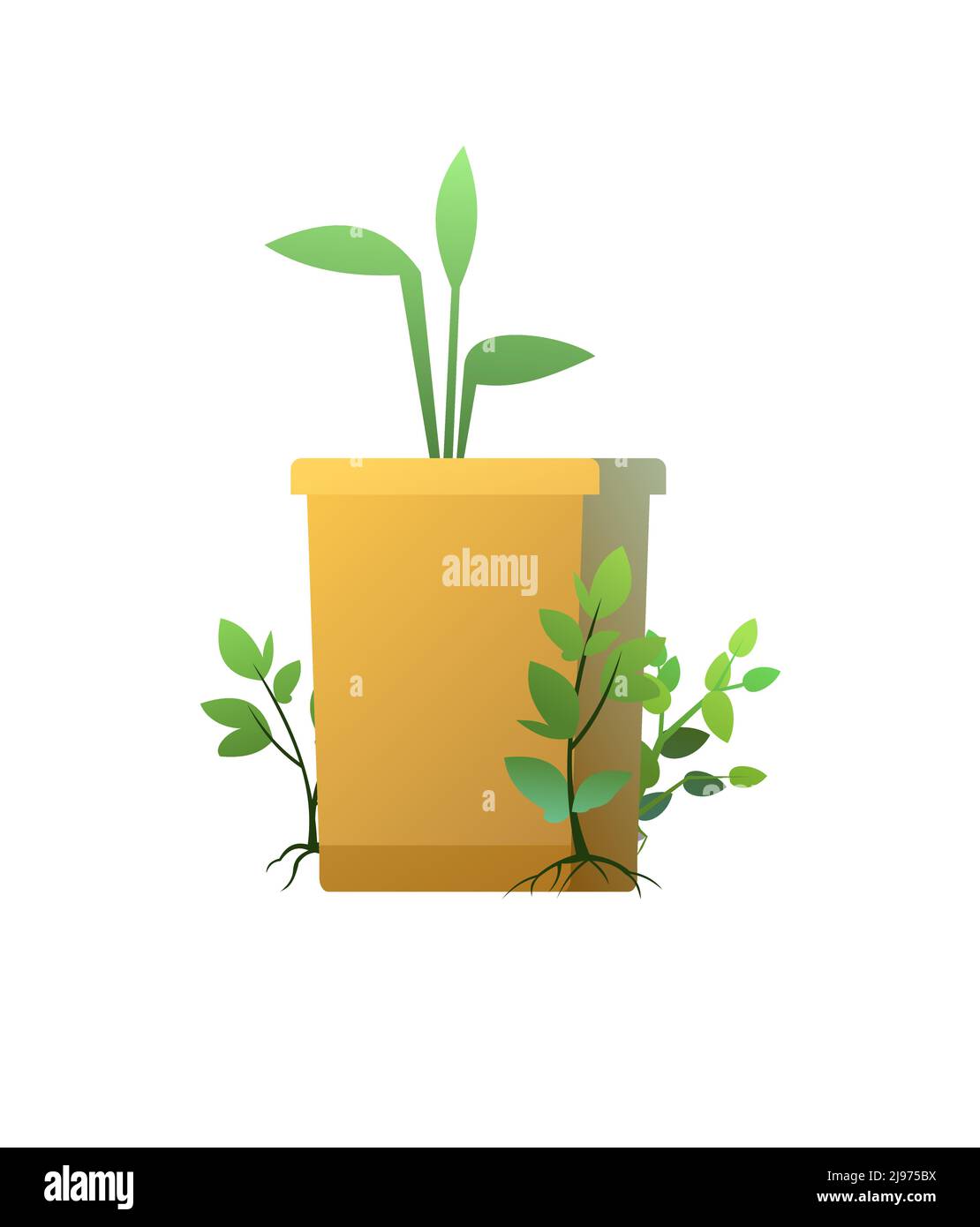 Root in box. Seedling garden plants. Sowing agricultural material ...