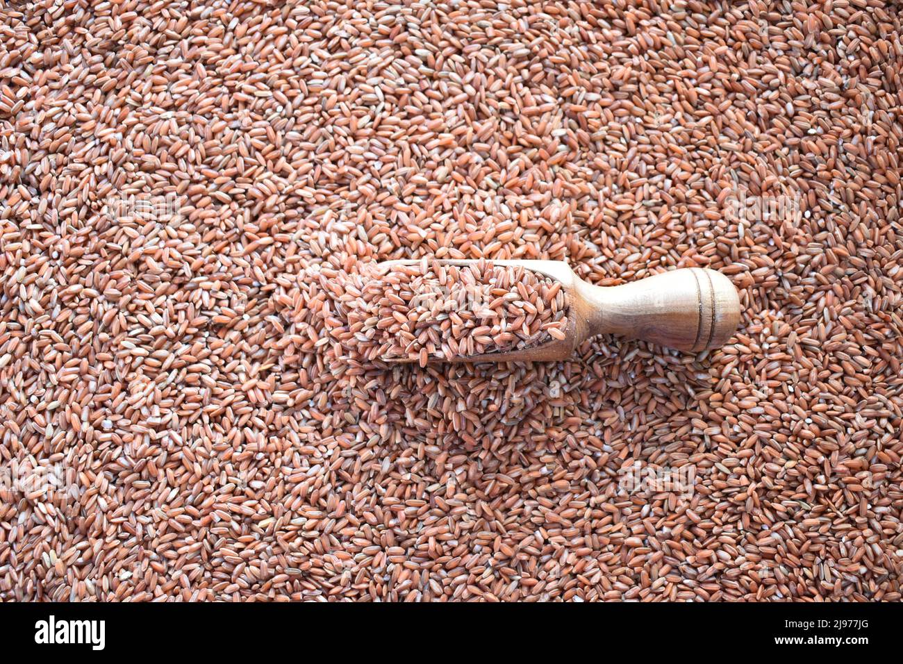 Raw whole dried red color rice Stock Photo - Alamy
