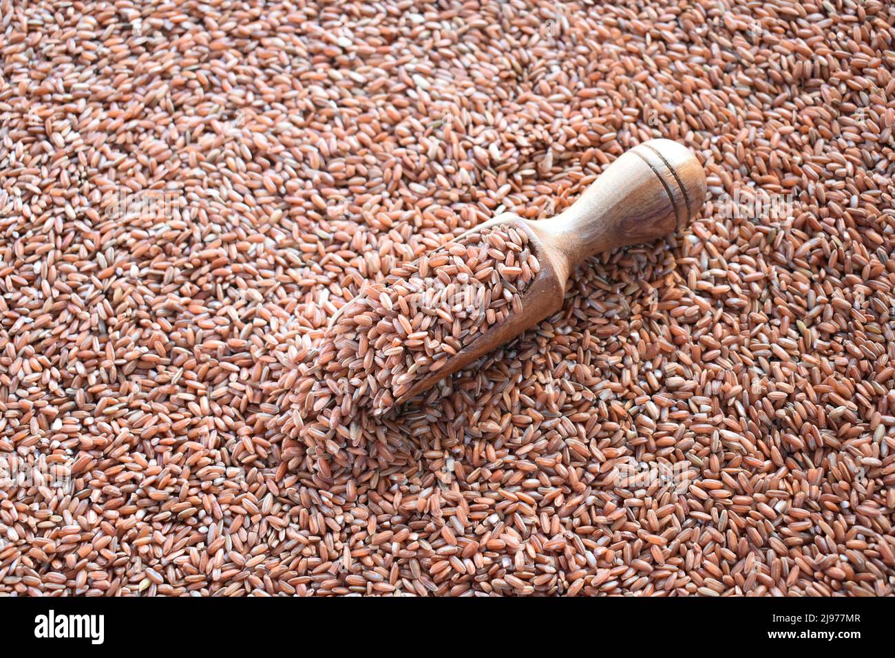 Raw whole dried red color rice Stock Photo - Alamy