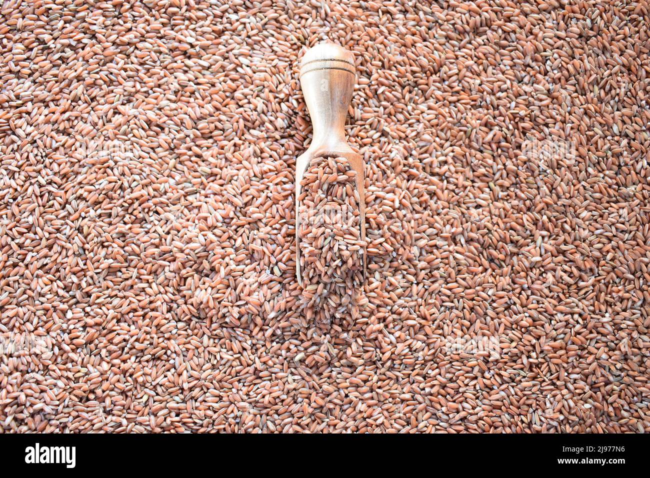 Raw whole dried red color rice Stock Photo - Alamy