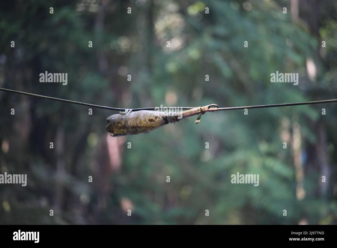 The cable divider of the internet line has been connected. Plastic ...