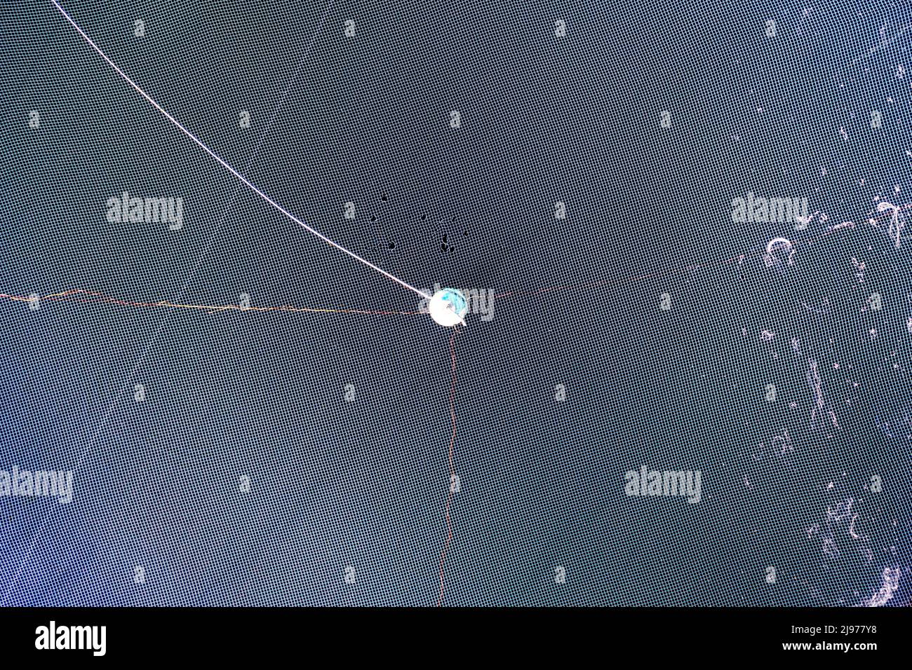 Marine fish farm ireland hi-res stock photography and images - Alamy