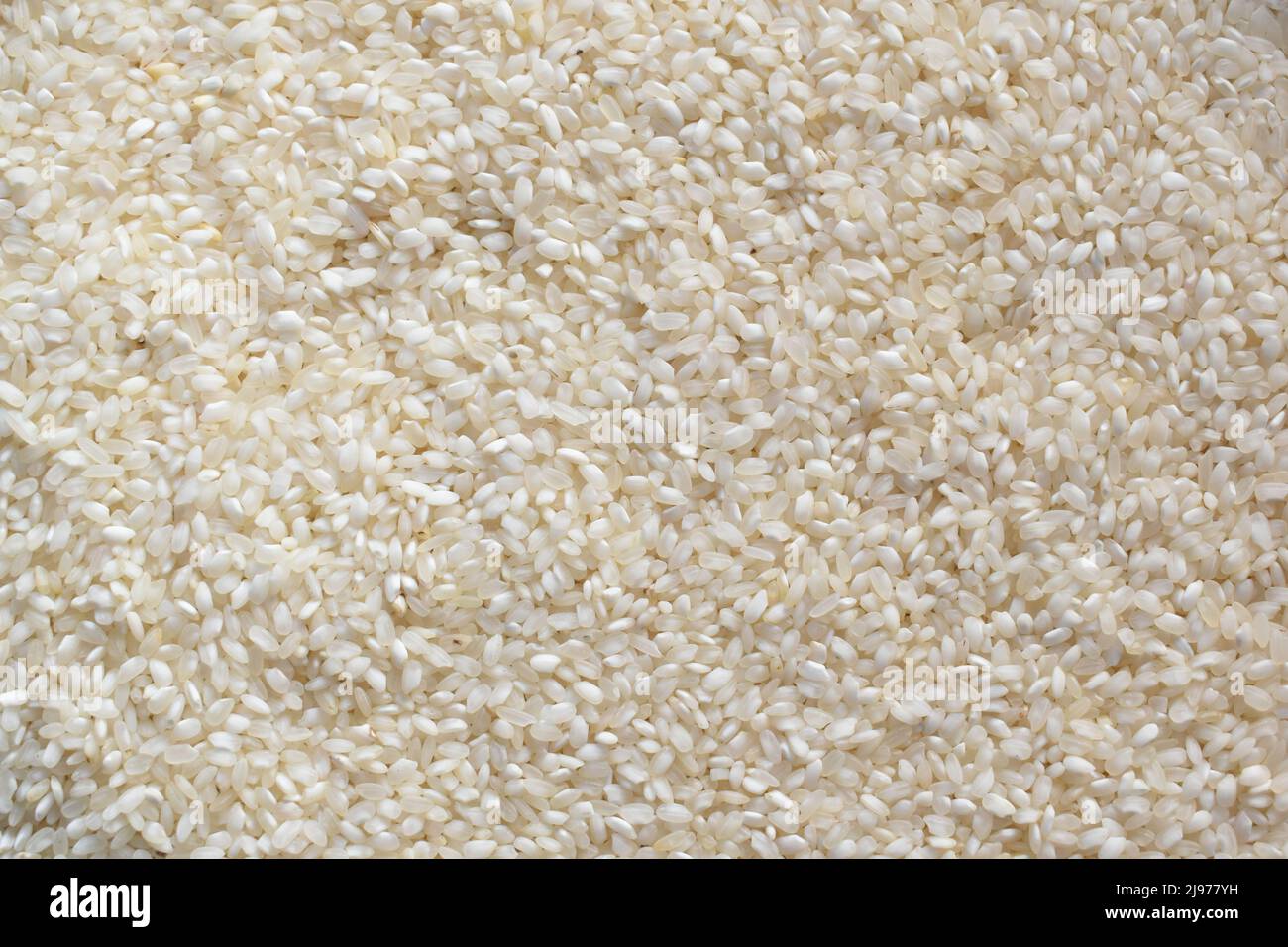 Raw whole dried Idli parboiled rice Stock Photo - Alamy