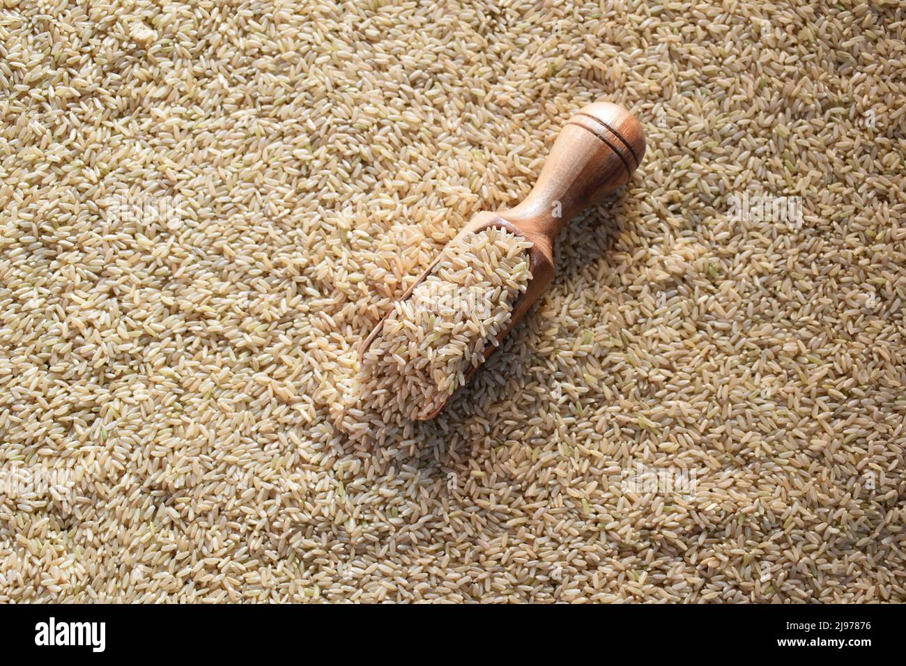 Raw whole dried brown color rice Stock Photo - Alamy