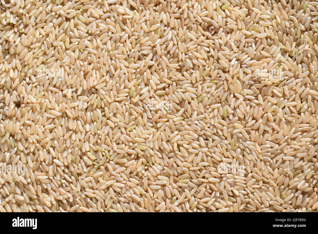 Raw whole dried brown color rice Stock Photo - Alamy