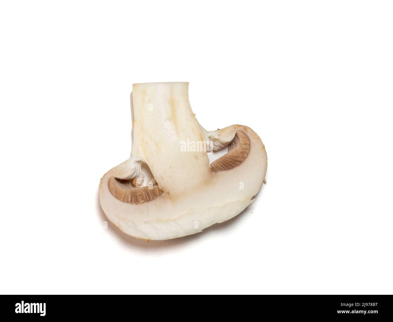 a slice of champignons on a white background. Cut mushroom Stock Photo ...